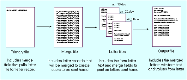 Microsoft Word Form Letters Overview